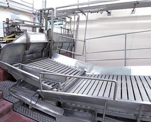 Pig slaughtering line - Machineries for the slaughtering