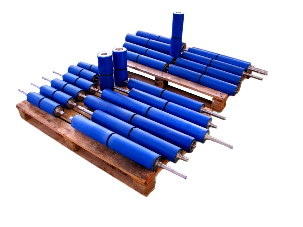 Rulli per nastri trasportatori - ASIA MEAT TECHNOLOGY